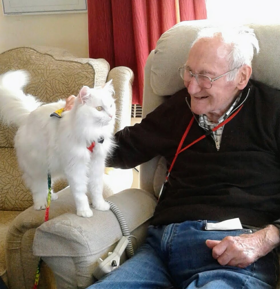 Facilities – Holbeach & East Elloe Hospital Trust